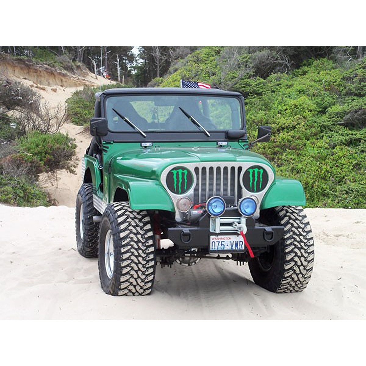 Eastwood Rallye Green Metallic 3:1 Single Stage Paint (96oz.) - Frost ...